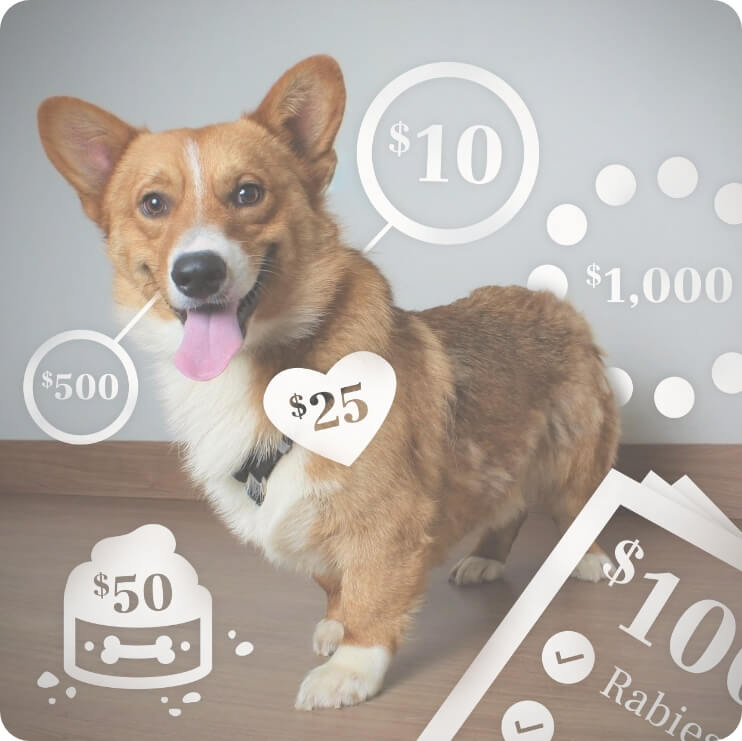 Donate : B-Squad Dog Rescue Donate : B-Squad Dog Rescue